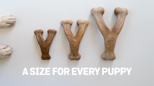 BENEBONE 2-Pack Rubber Bone/Wishbone Bacon Puppy Chew Toy - Chewy.com