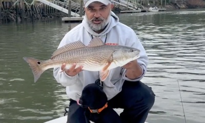 Redfish bite is hot!!! - Darien Fishing Report - FishingBooker