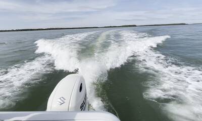 Captain Rio Adventures (Marco Island) - Updated 2021 Prices - FishingBooker