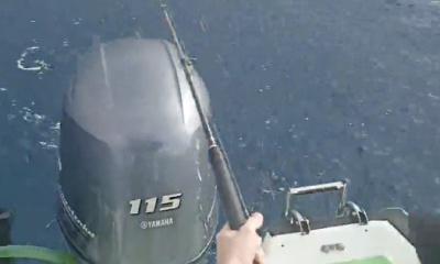 Offshore - Puerto Jiménez Fishing Report - FishingBooker