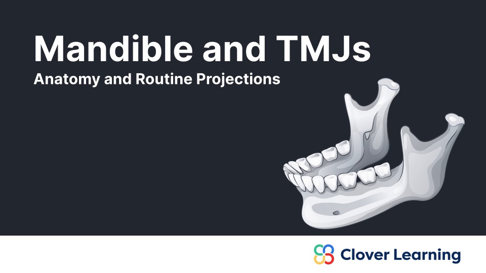 Mandible & TMJs: Anatomy & Routine Projections | Video Lesson | Clover Learning