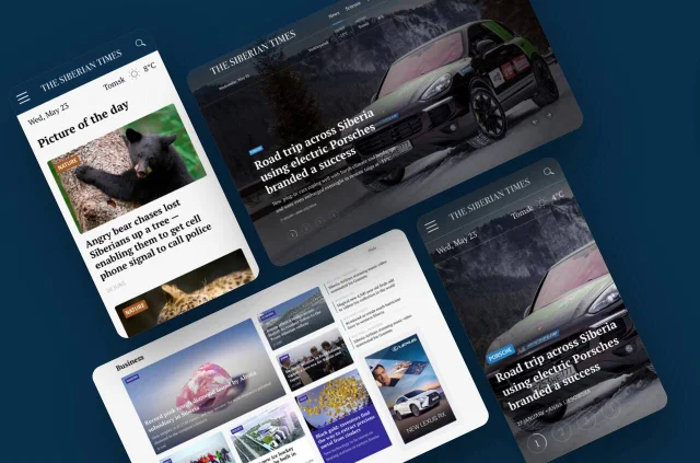 fresco.agency — AI и веб-интегратор. Разработка сложных сайтов и ...