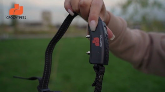 GROOVYPETS 1100 Yard Remote Two Dog Training Collar System - Chewy.com