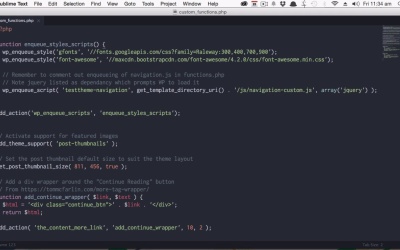 WordPress Theme Creation With Underscores - Add Compatibility JavaScript