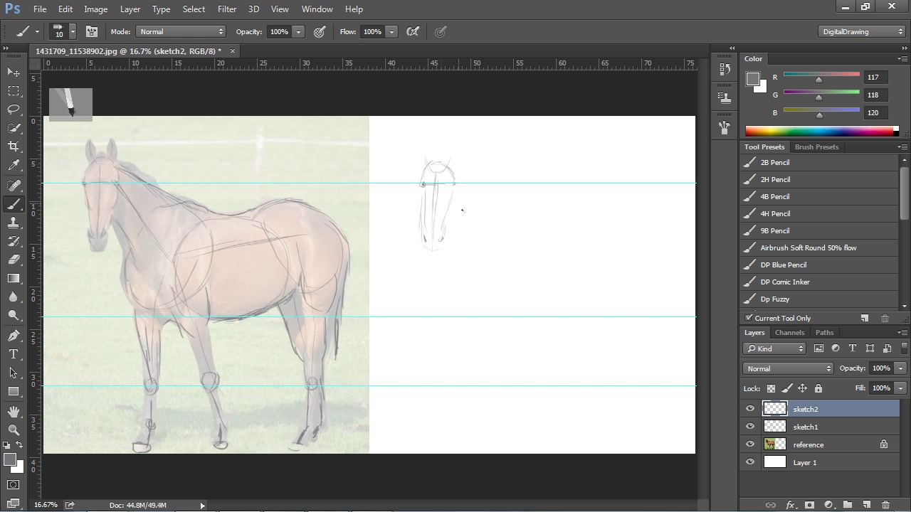 Digital Drawing 101: Drawing Animals - Observation and Gesture