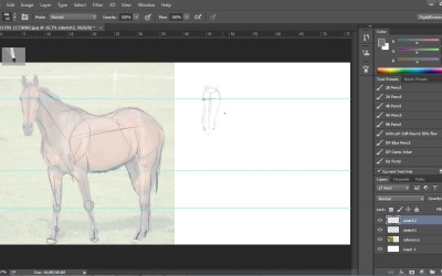 Digital Drawing 101: Drawing Animals - Observation and Gesture