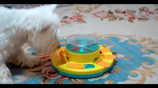 PIGGY POO AND CREW Treat Popper Puzzle Game, Green & Yellow - Chewy.com