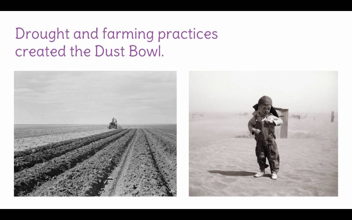 How Farming Helped Create the “Dust Bowl” | IL Classroom