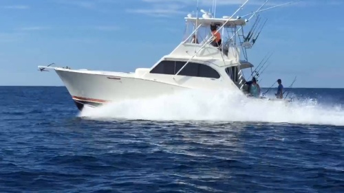 Half-Fast Sportfishing - Updated 2023 Prices