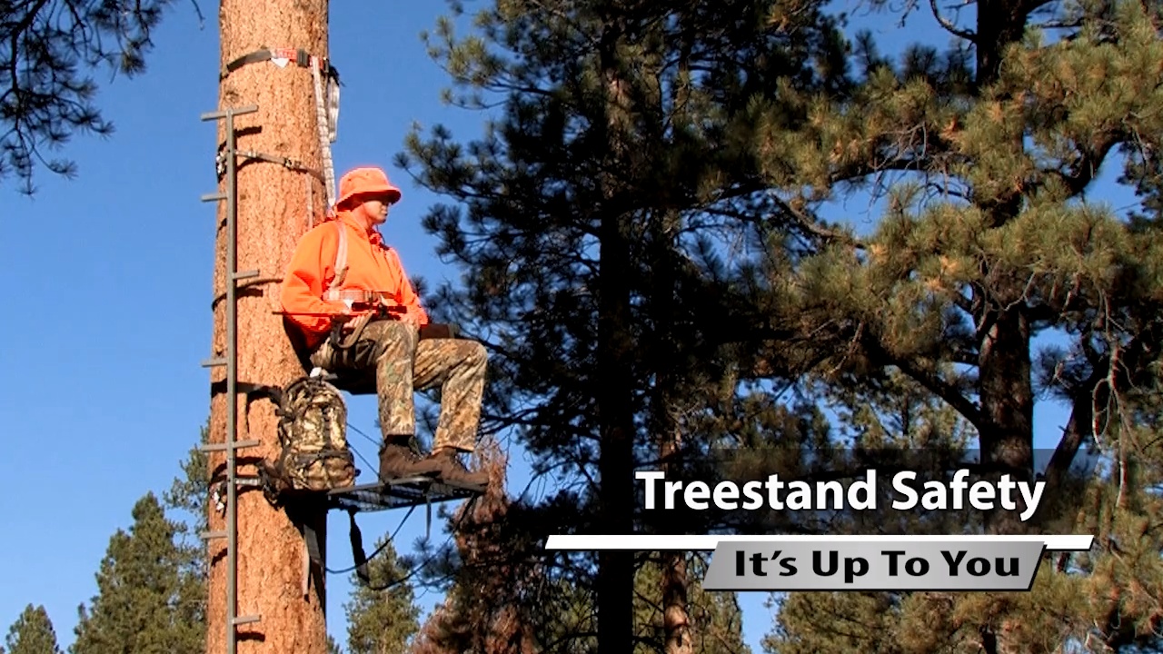 Treestand Safety