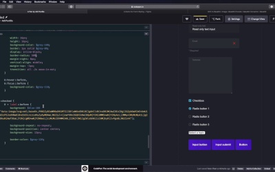 An Introduction to Styling HTML Forms - Styling Radio Buttons