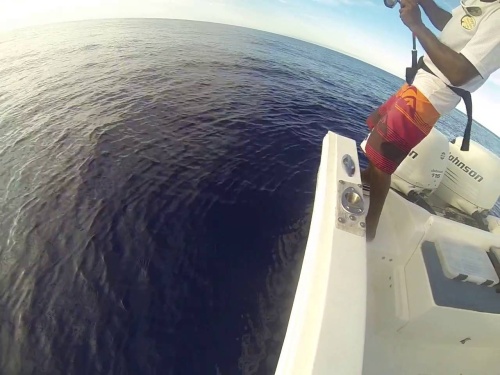 Tempo Fishing Club - Updated 2024 Prices