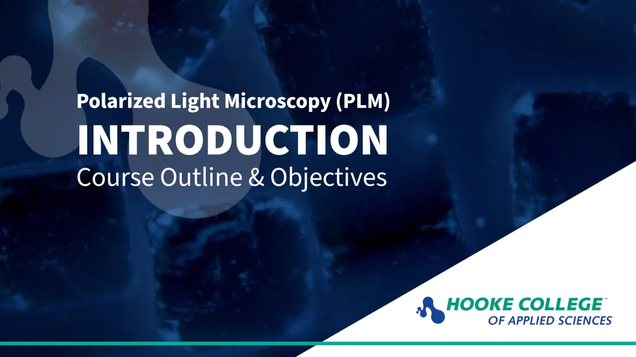 Plm Lighting Setup | Shelly Lighting