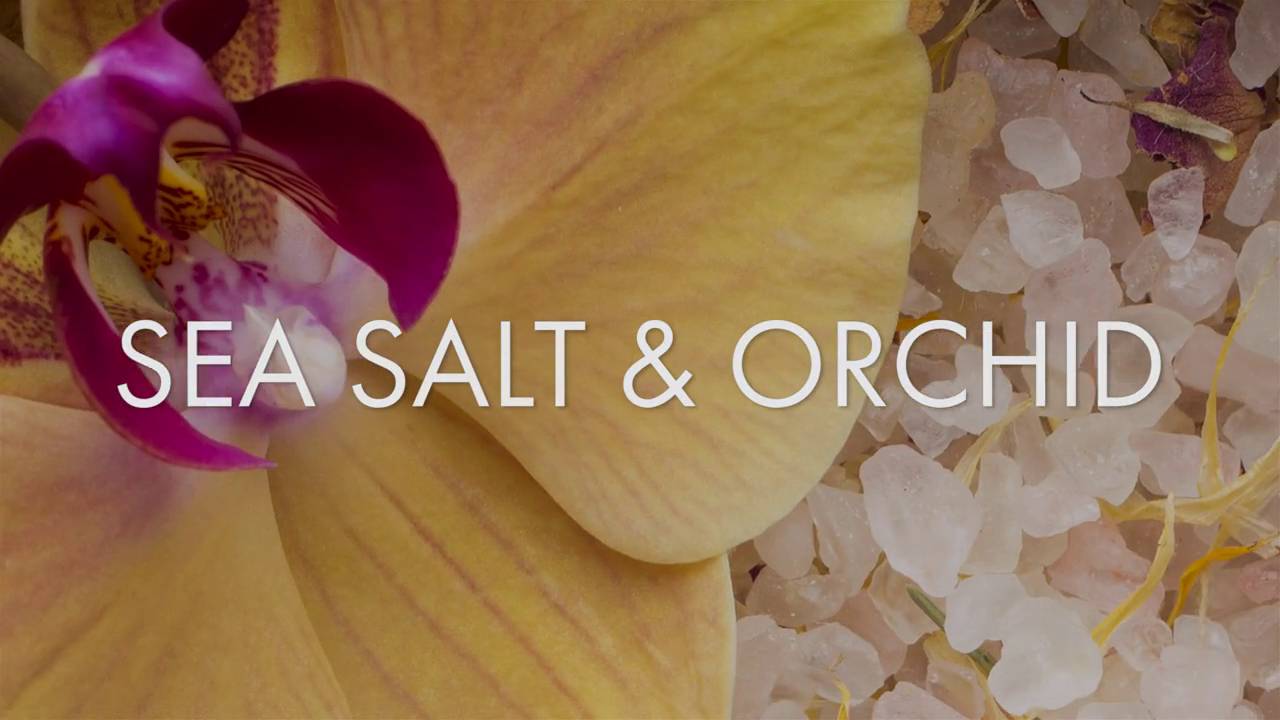 Home & Living Candles Sea Salt & Orchid Candles & Holders etna.com.pe