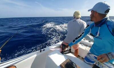 Roatan's International Fishing Tournamen - Roatan Fishing Report ...