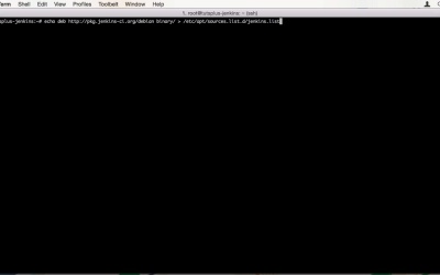 Continuous Integration Workflow - Installing Jenkins on a VPS