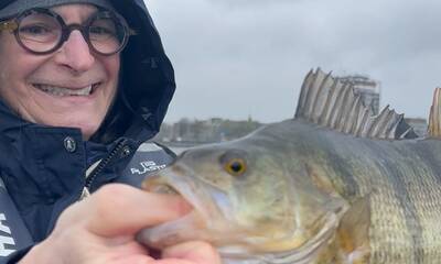 The Perfect Perch Fishing Trip - Amsterdam Fishing Report - FishingBooker
