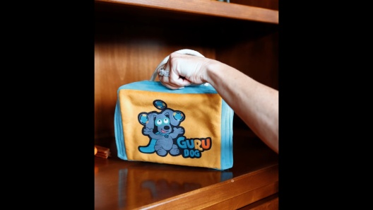 GURU Super Guru Fun Box Interactive Treat & Puzzle Dog Toy - Chewy.com