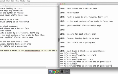 Getting Started with Python - File CRUD