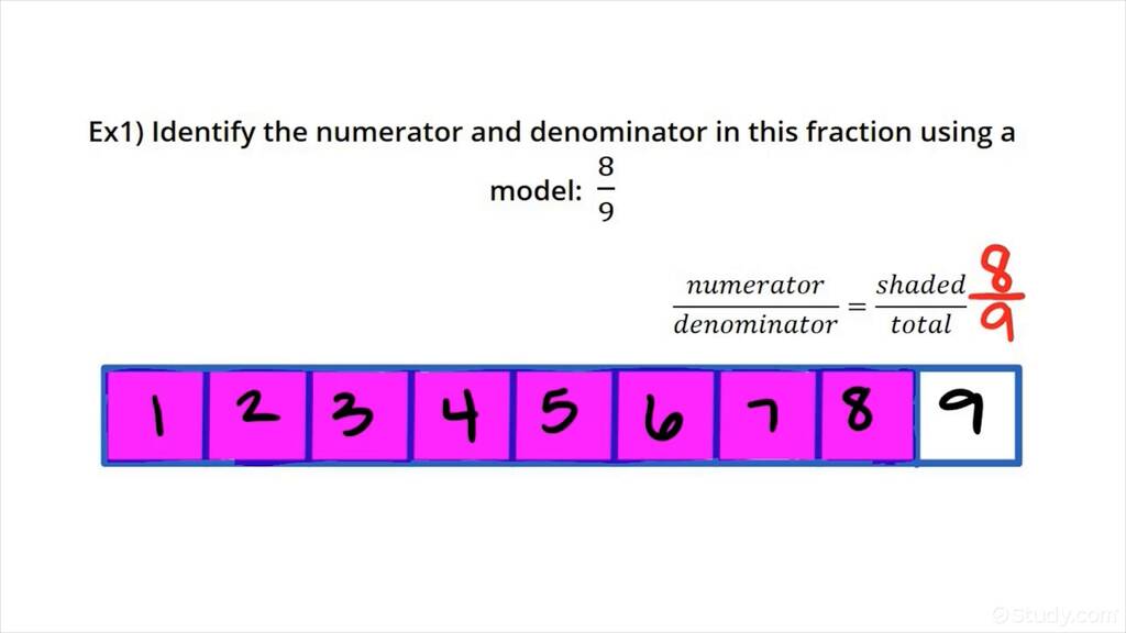 Identifying Numerators & Denominators of Fractions | Algebra | Study.com