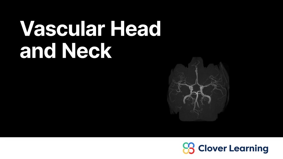 MRI Vascular Head and Neck (Anatomy) | Video Lesson | Clover Learning