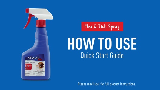 ADAMS Plus Flea & Tick Spray for Dogs & Cats, 16-fl oz bottle - Chewy.com