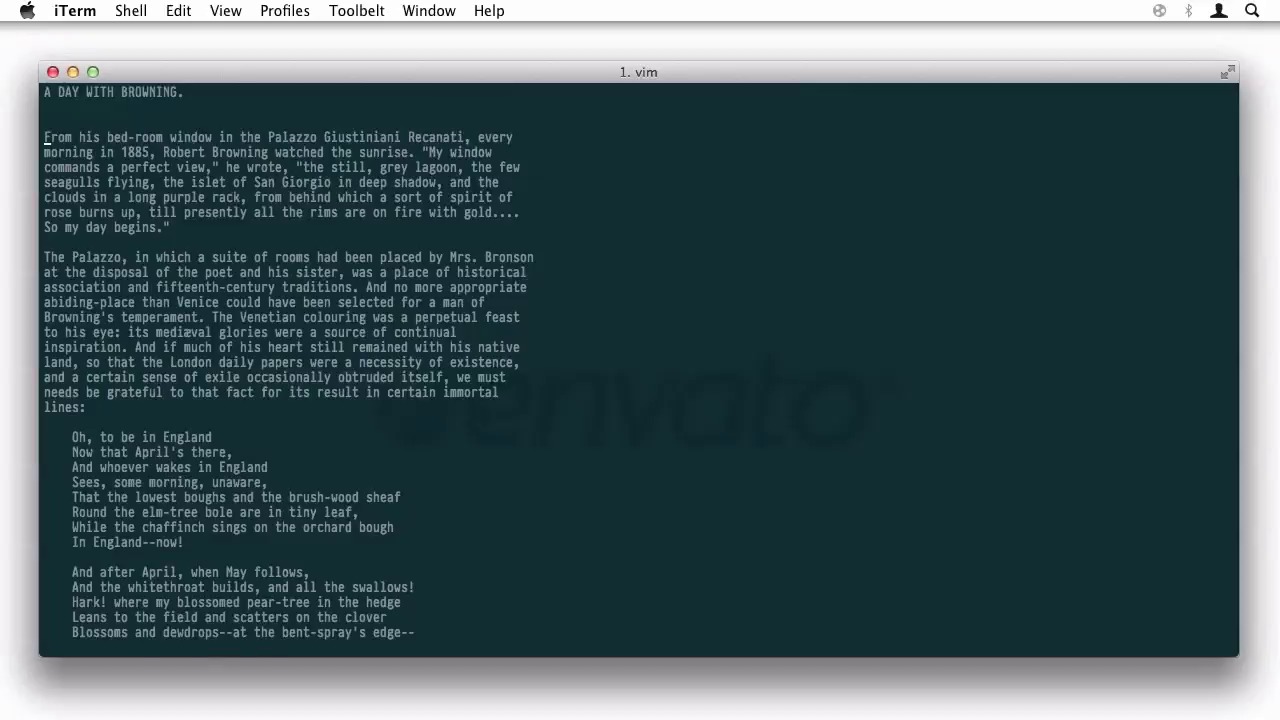 Venture Into Vim - Faster Movement