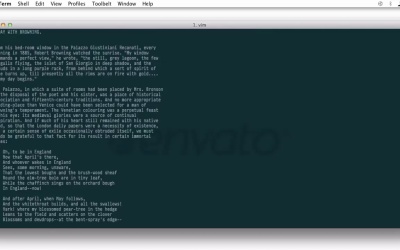 Venture Into Vim - Faster Movement