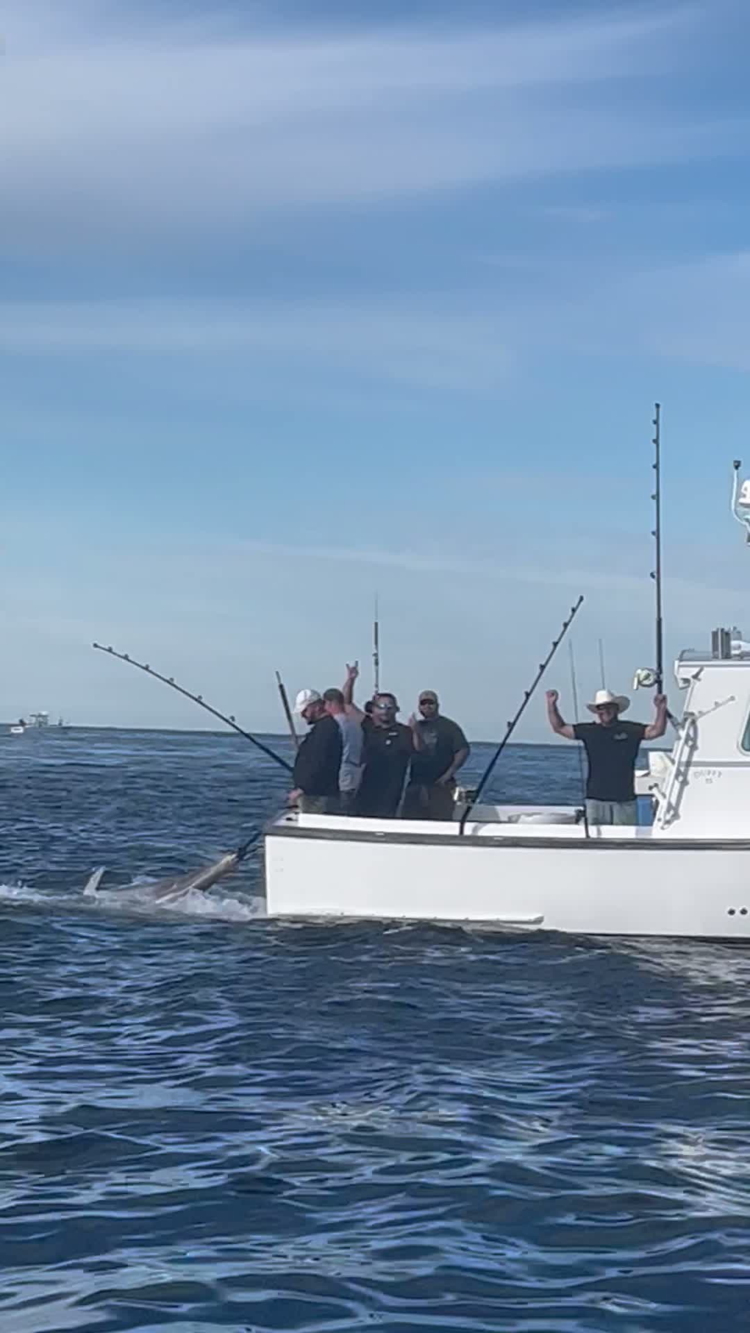 Shark Shark Tuna Fishing Charters – 35' (Yarmouth) - Updated 2023 ...
