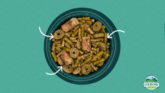 OXBOW Forage Wise Adult Rabbit Food, 4-lb bag - Chewy.com