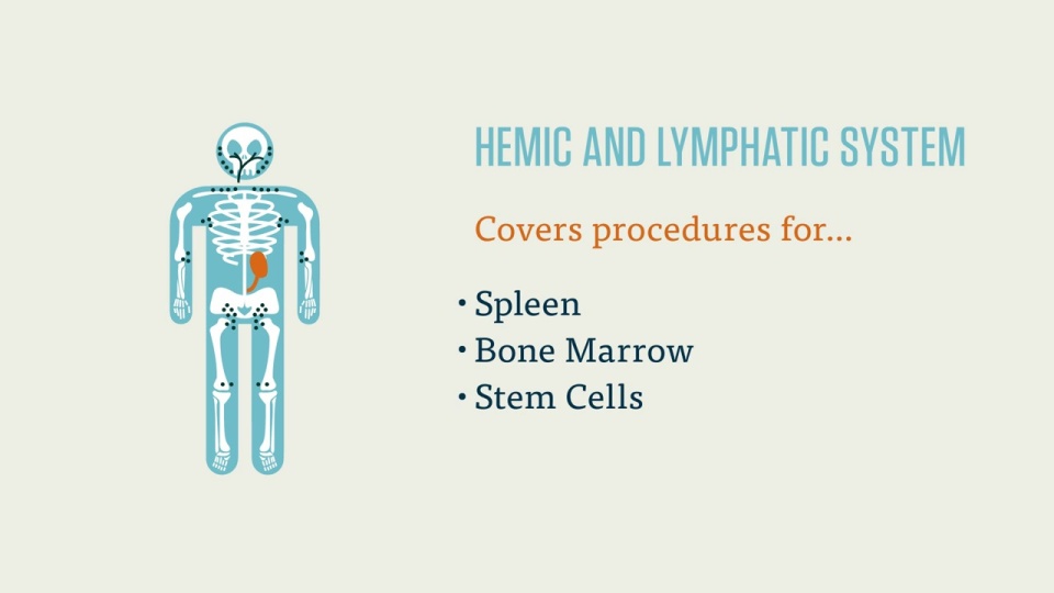 CPC Exam: Hemic and Lymphatic System