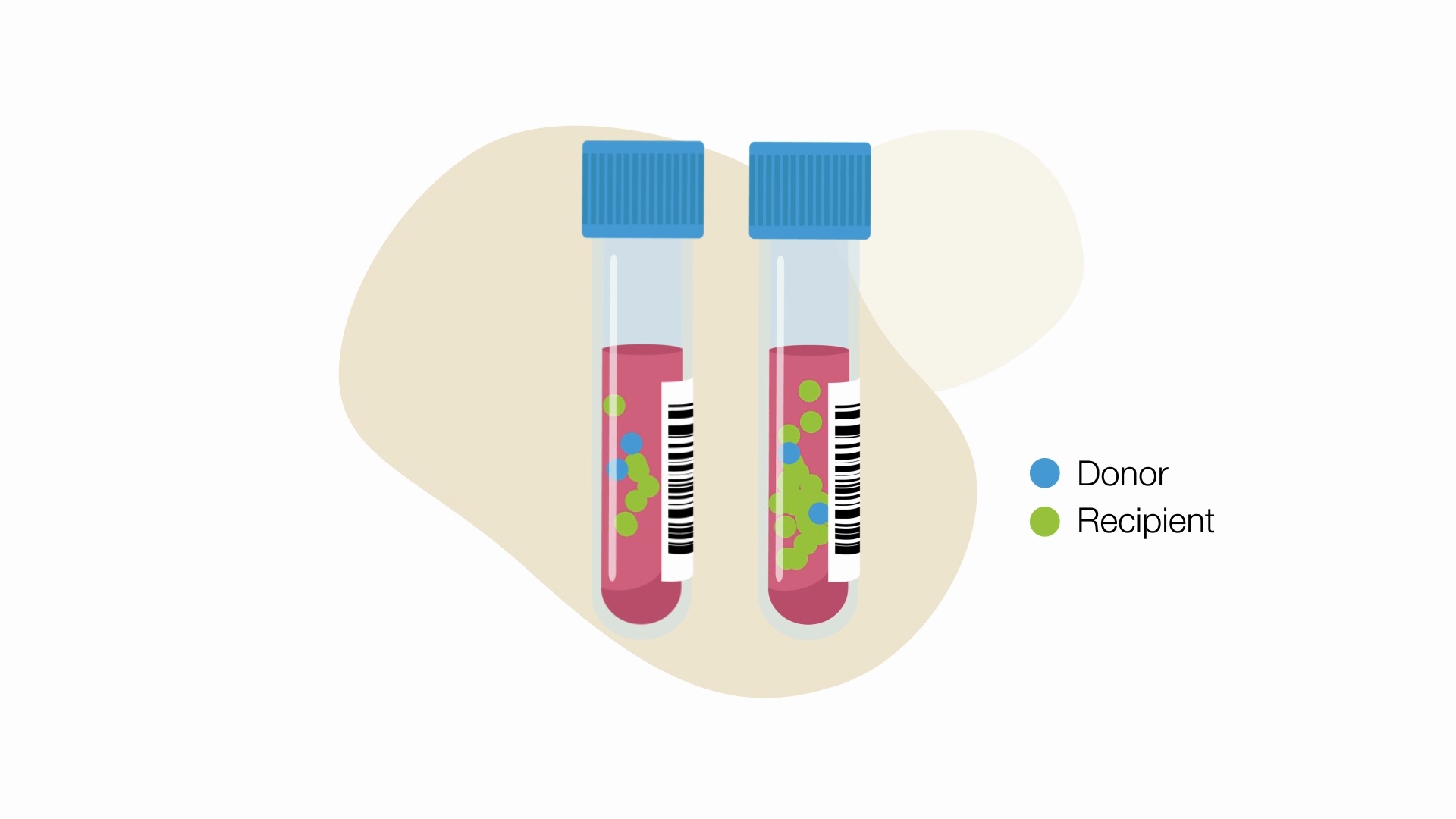 Prospera Heart DQS Explainer