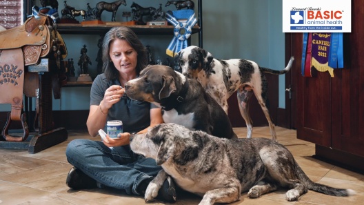 BASIC ANIMAL HEALTH GutHealth Xtra Strength Capsule Digestive Aid for ...