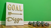 Goal Digger Arrow Kit