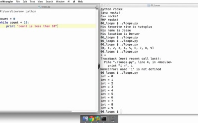 Getting Started with Python - Loops