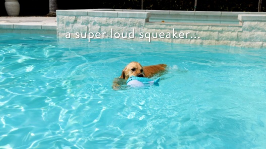 FRINGE STUDIO Splashy Floating Dog Toy - Chewy.com