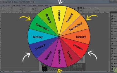 Fundamentals of Print Design - Elements of Design