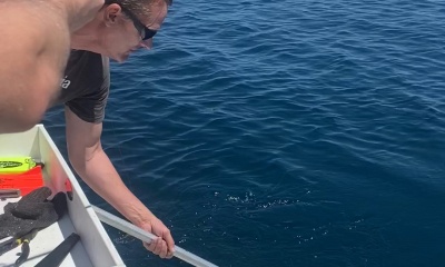 Abby Fishing Charters - Updated 2024 Prices