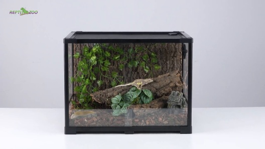 OIIBO Tempered Glass Reptile Terrarium, Black, 34-gallon - Chewy.com