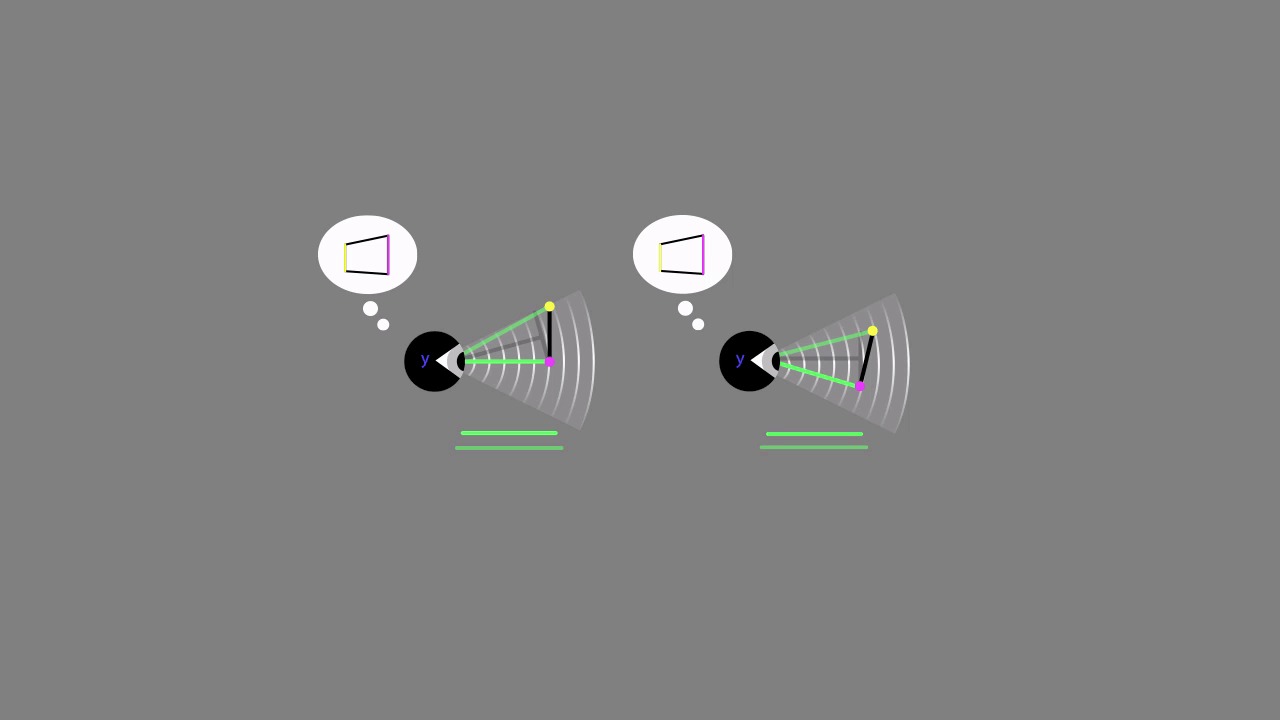 How to Draw Animals in Perspective - What Is Perspective, and Why Does ...