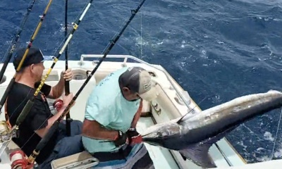 Marlin fishing - Cabo San Lucas Fishing Report - FishingBooker