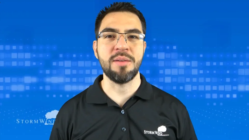 Rolando Valenzuela - Stormwind Studios