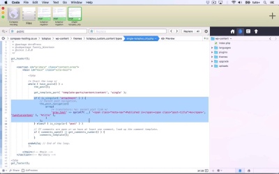 Custom Post Types and Taxonomies: WordPress Content Architecture - Post ...