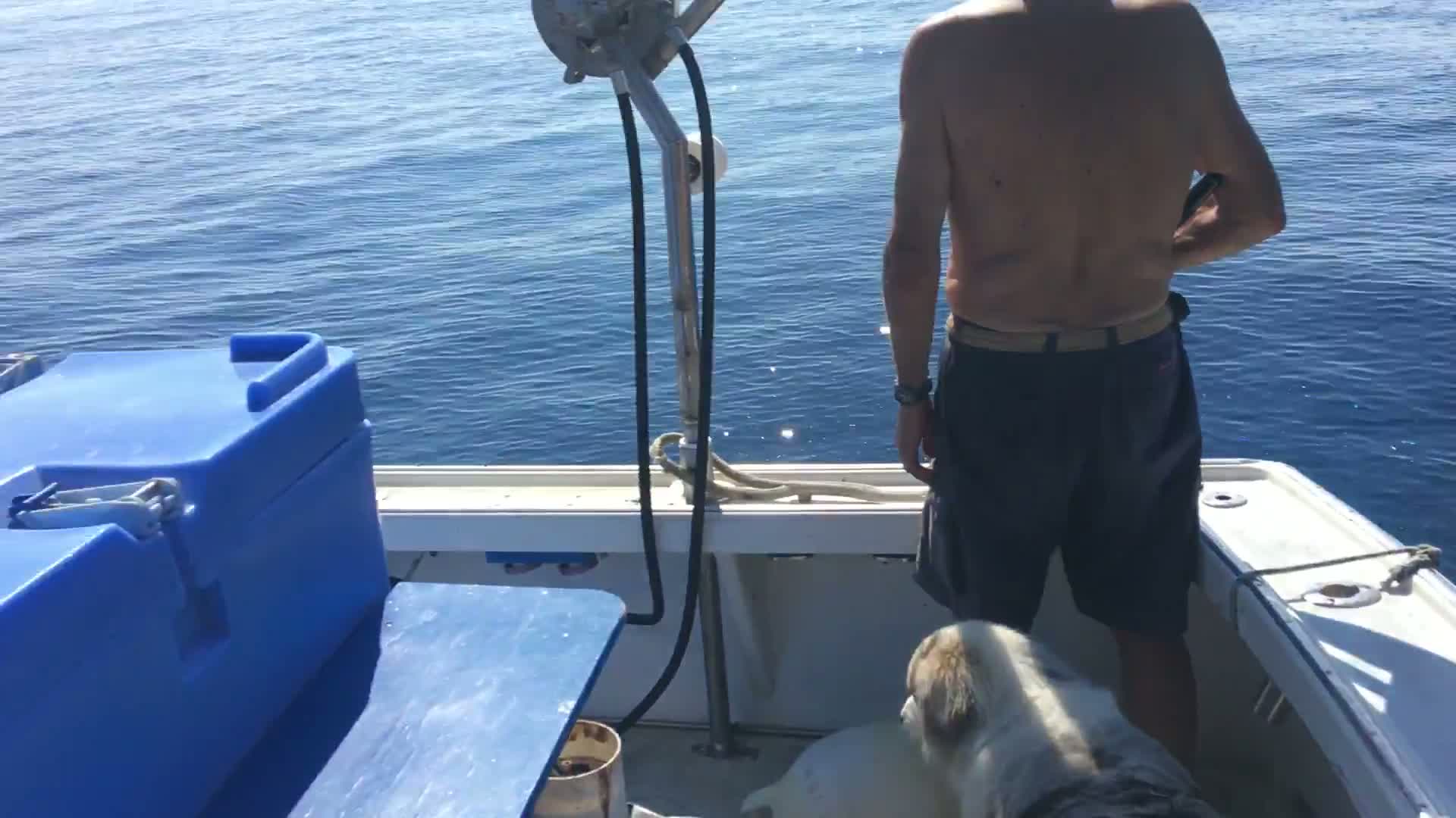 Pevea Big Game Fishing Charters (Levanto) - Updated 2023 Prices ...