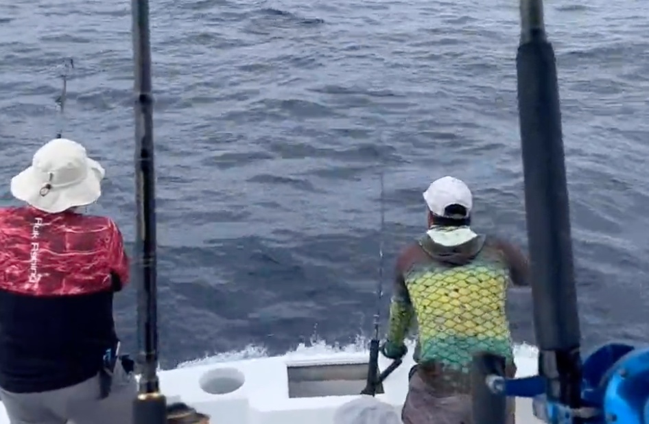 Fin Chaser Cabo (Cabo San Lucas) - Updated 2023 Prices - FishingBooker