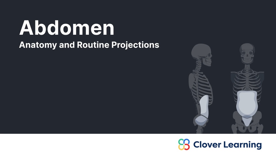 Abdomen: Anatomy & Routine Projections | Video Lesson | Clover Learning