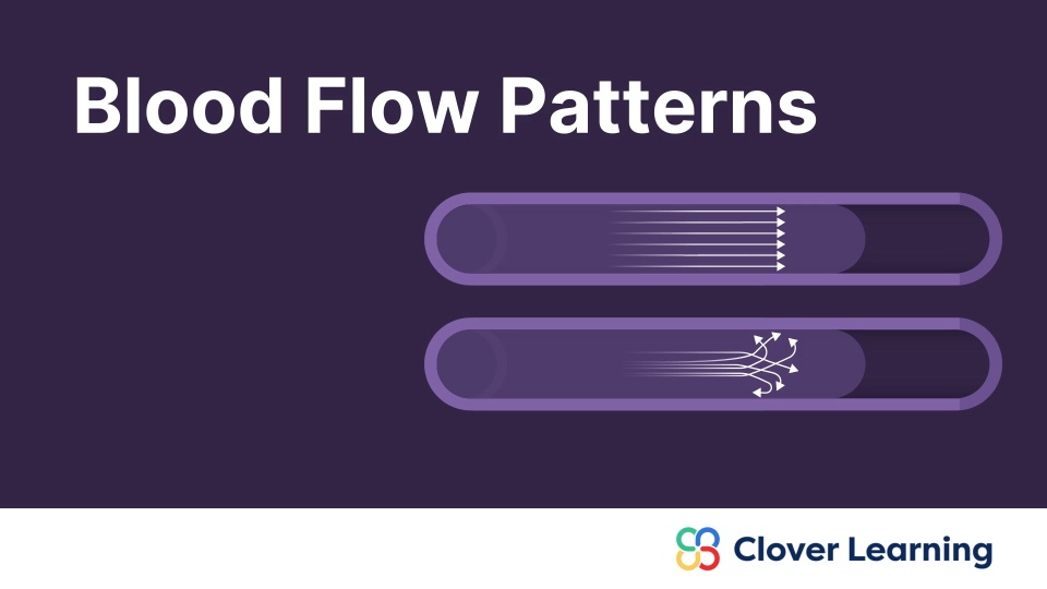 Blood Flow Patterns | Video Lesson | Clover Learning