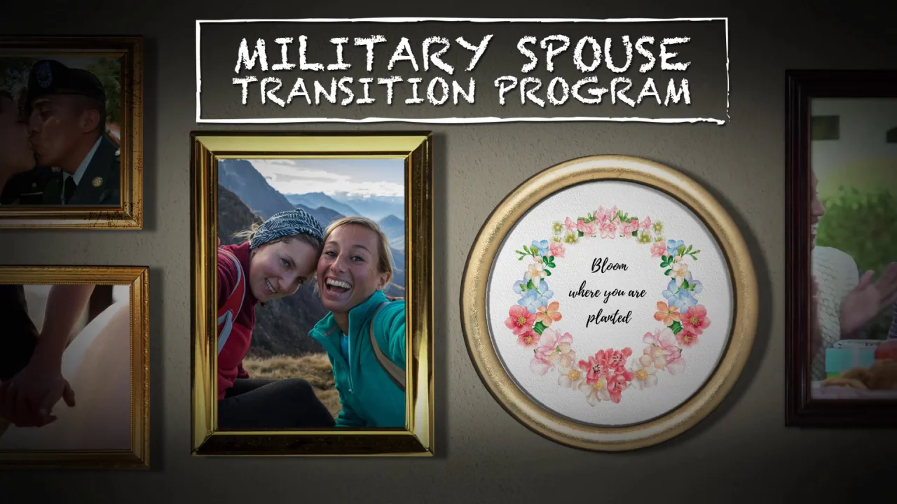 Military Spouse Education & Career Opportunities | MySECO