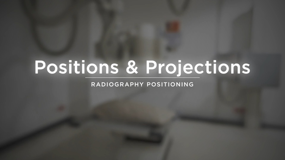 Positions and Projections | Video Lesson | Clover Learning