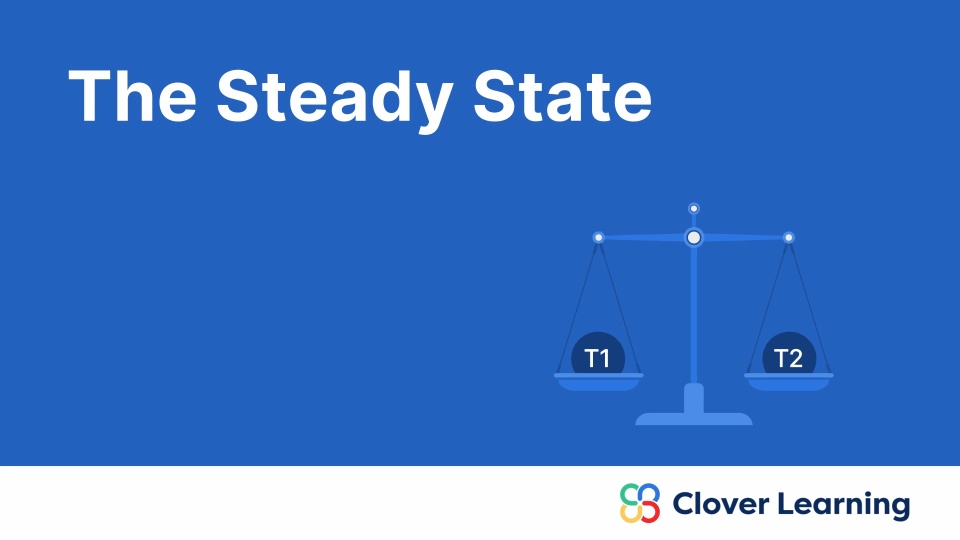 The Steady State | Video Lesson | Clover Learning